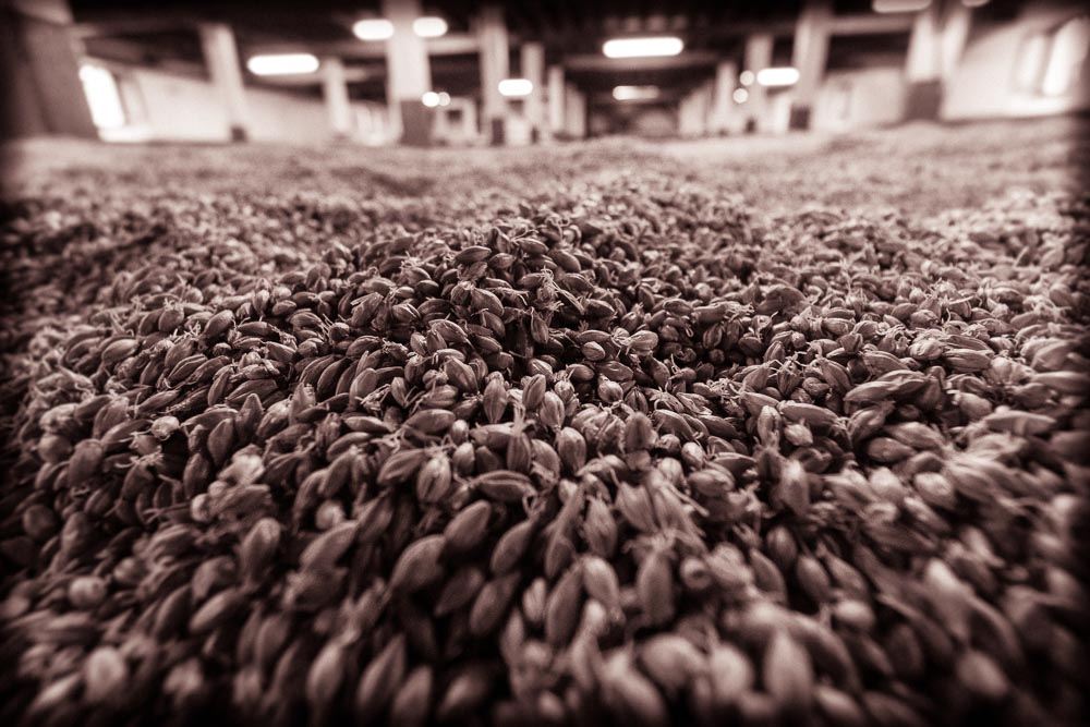 Laphroaig Distillery | Opinions Welcome