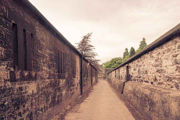 The Controversial Reason Why Everything Is Black Near Distilleries